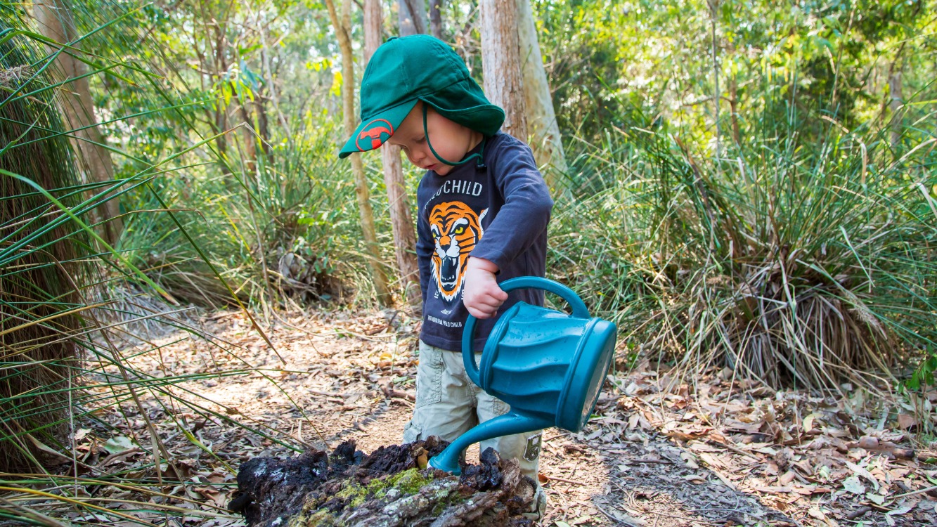 Bush Kindy | Brisbane City Council