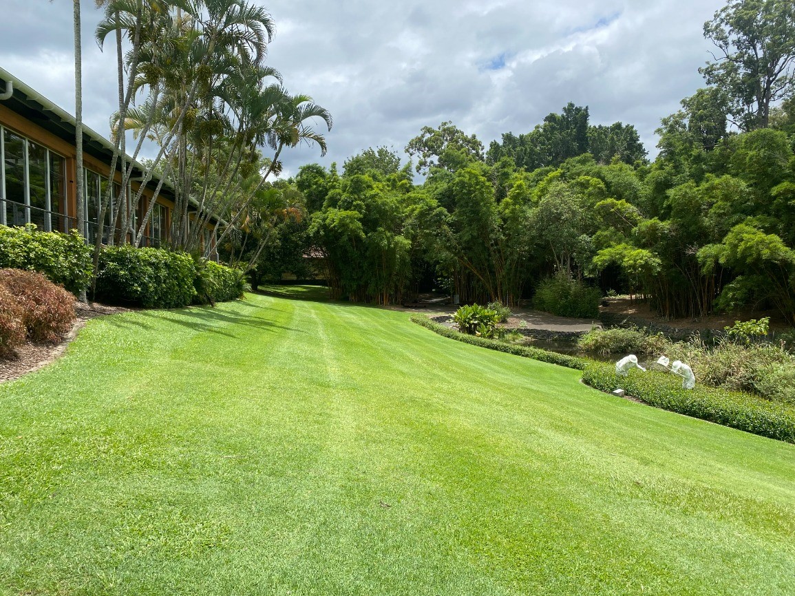 First 5 Forever nature play in the Bamboo Grove | Brisbane City Council