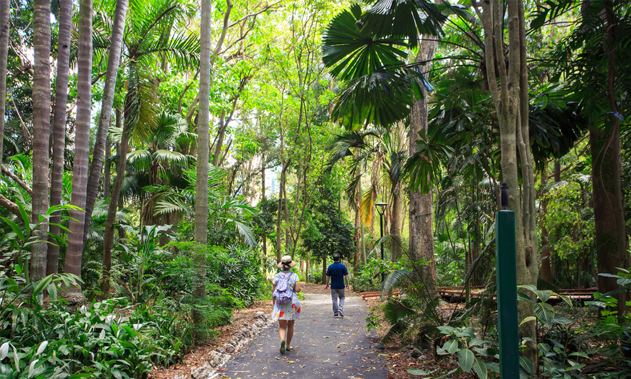 Free guided tour - City Botanic Gardens | Brisbane City Council