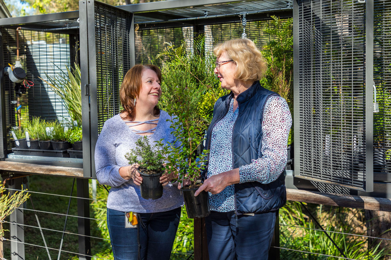 Best plants for Brisbane gardens | Brisbane City Council