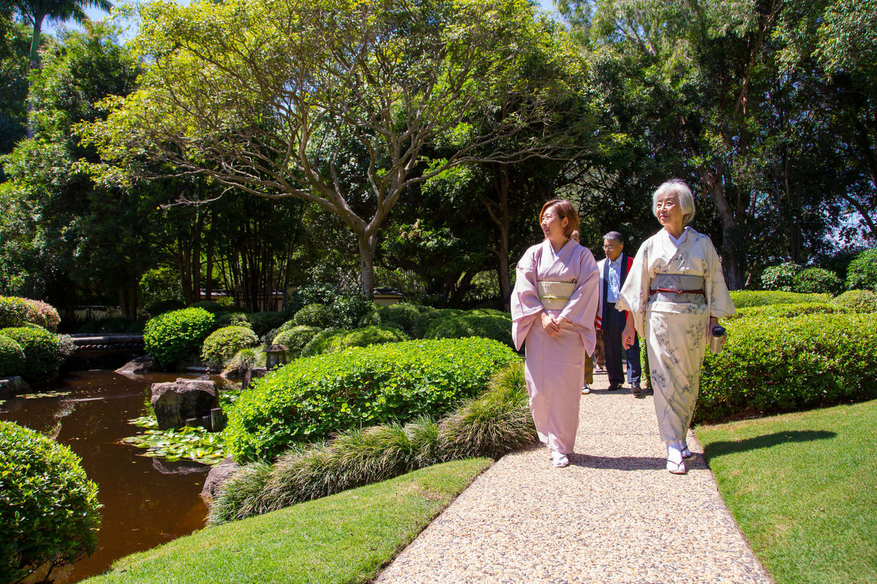 Celebrating Japanese culture in Brisbane | Brisbane City Council