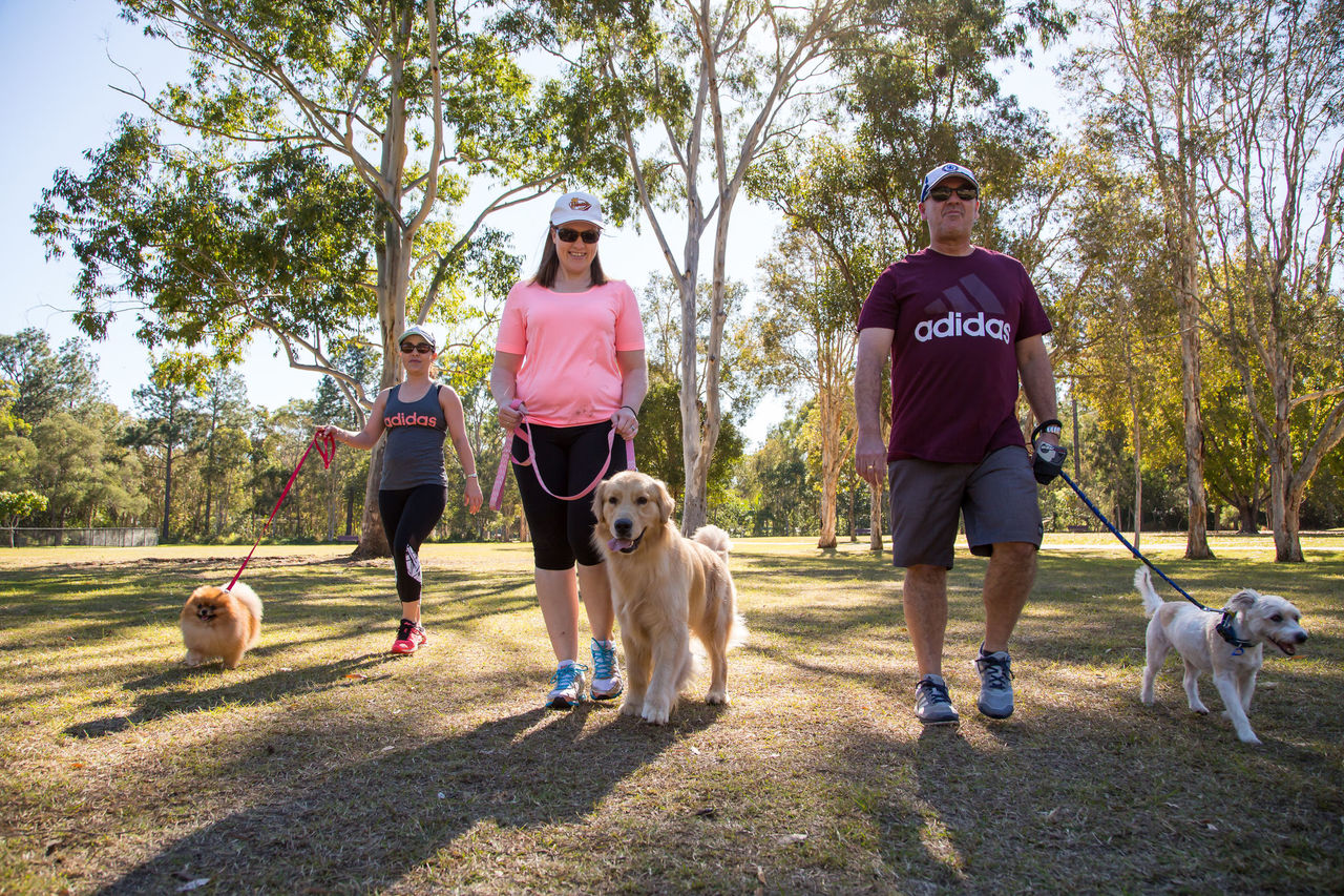 6 tips for Brisbane dog owners | Brisbane City Council