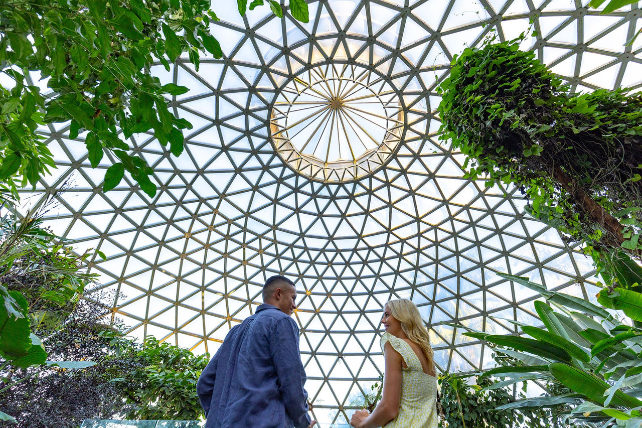 Mt Coot-tha precinct transformation | Brisbane City Council