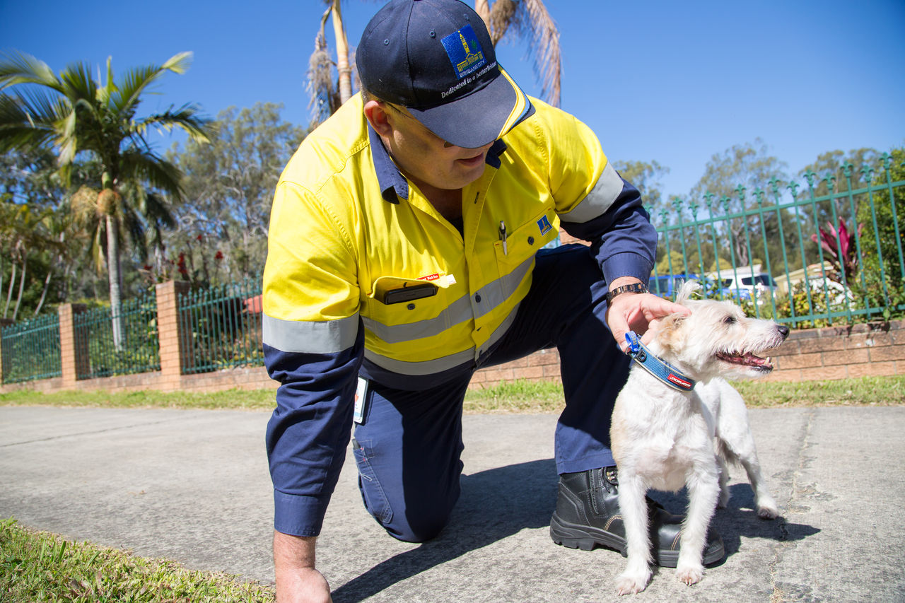 Impounded animals | Brisbane City Council