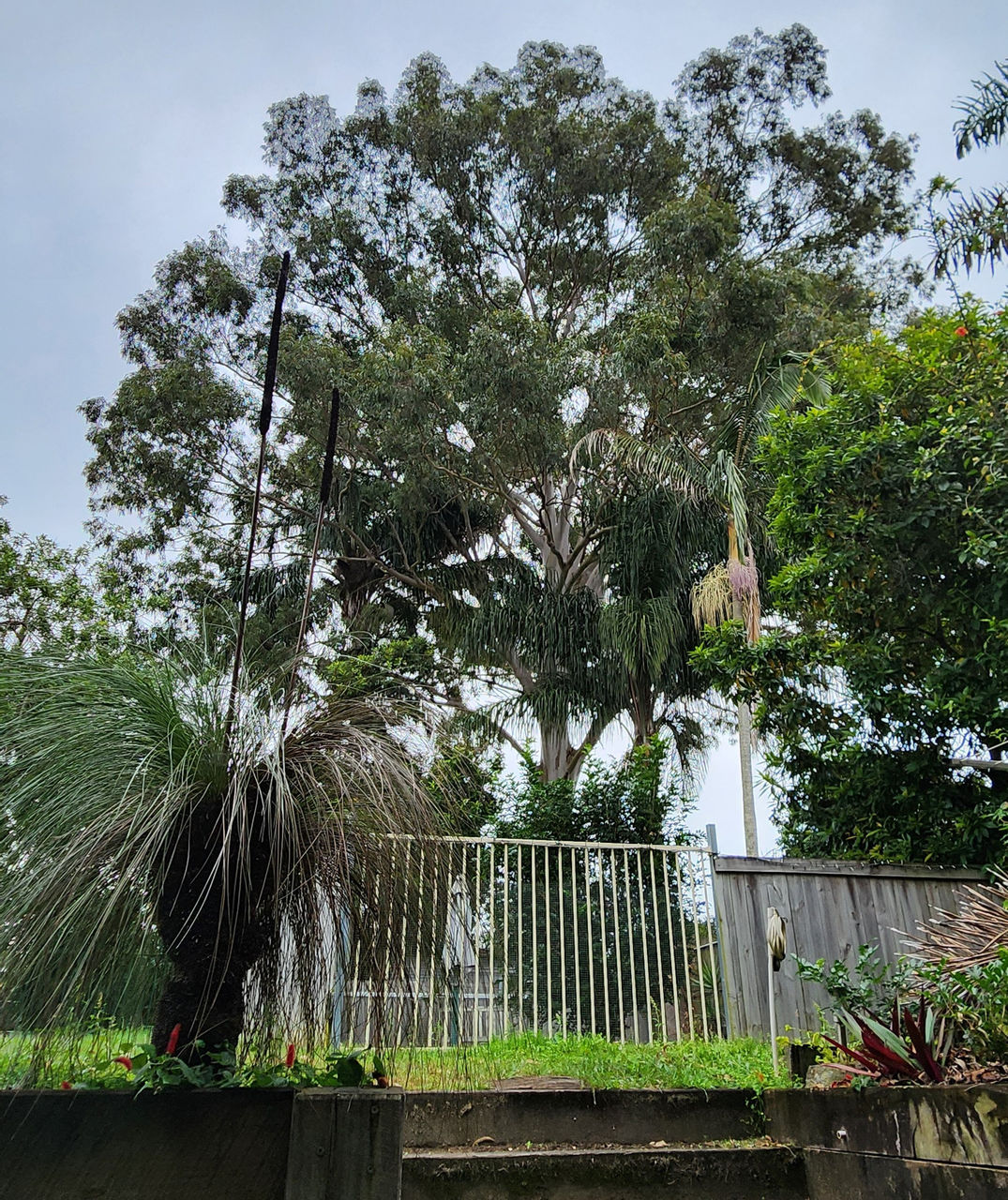 Vegetation Protection Orders | Brisbane City Council