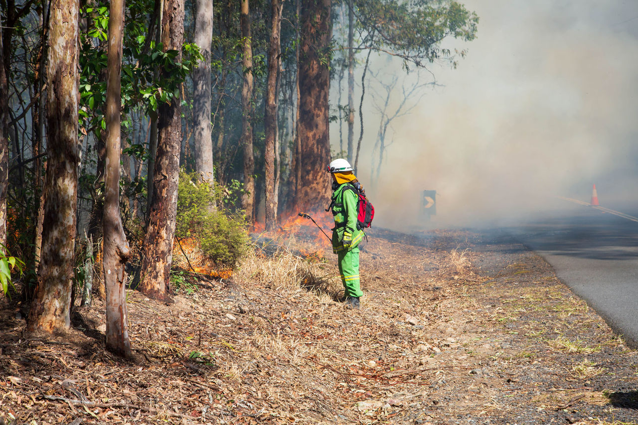 Planned burns and smoke | Brisbane City Council