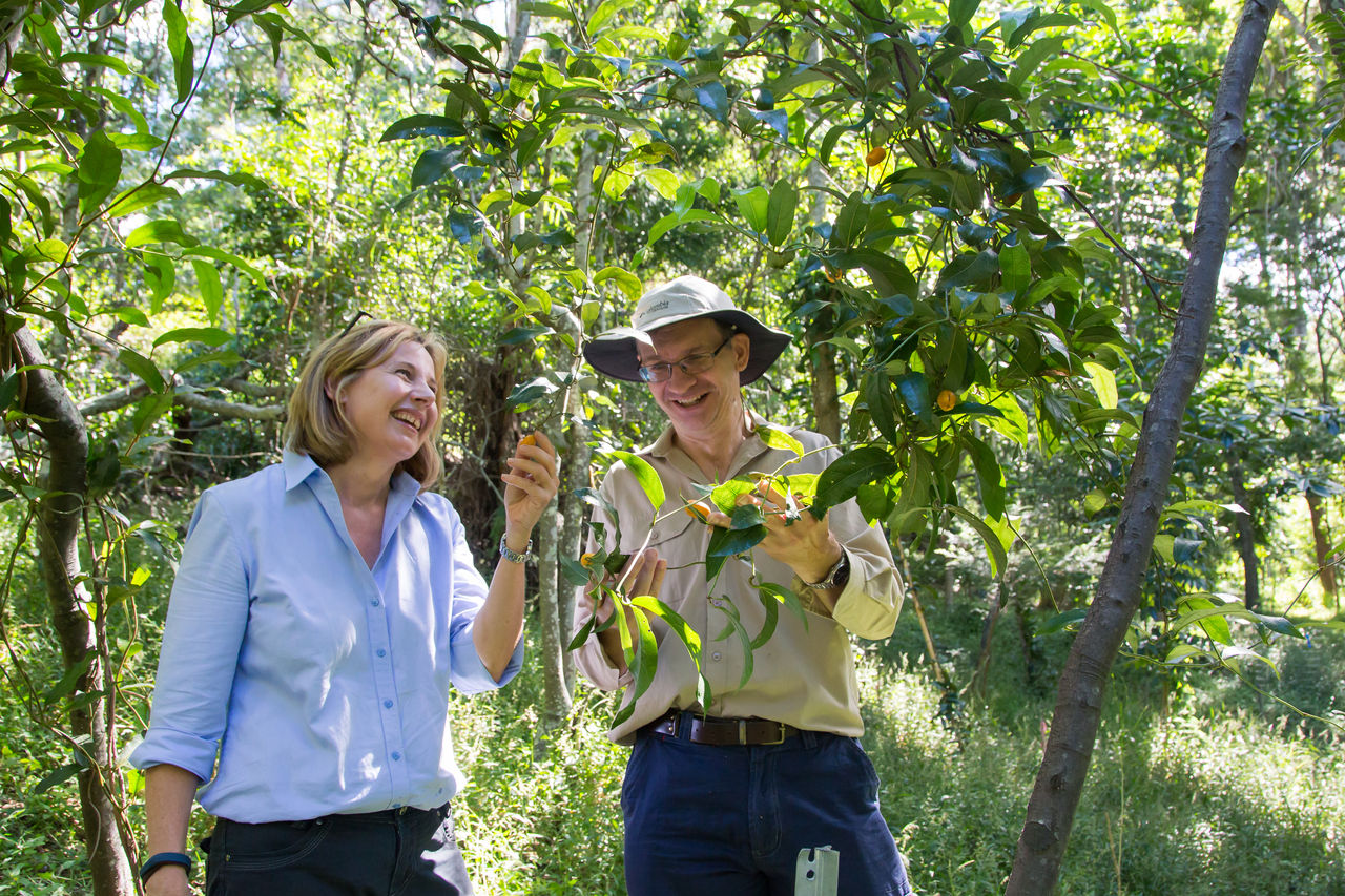 Wildlife and conservation | Brisbane City Council