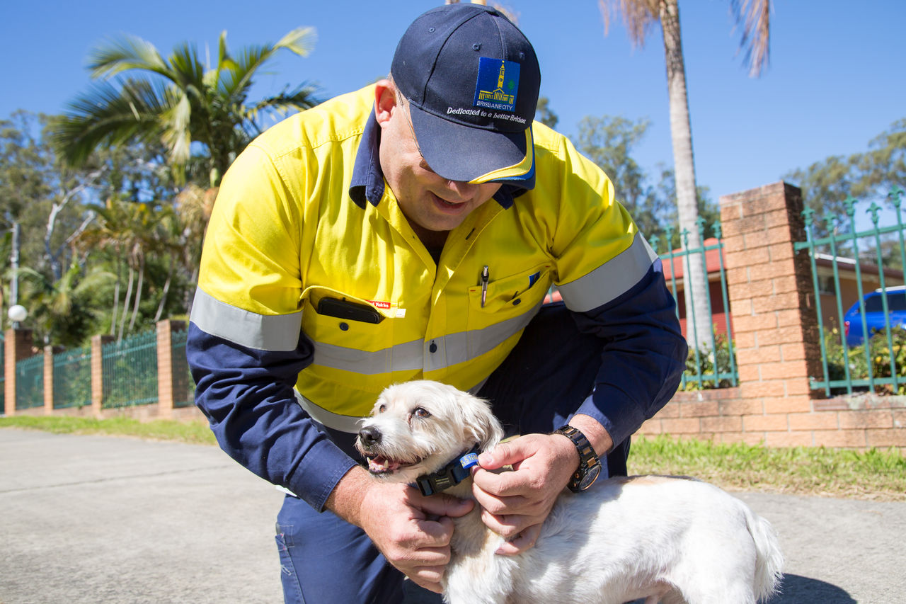 Local laws | Brisbane City Council
